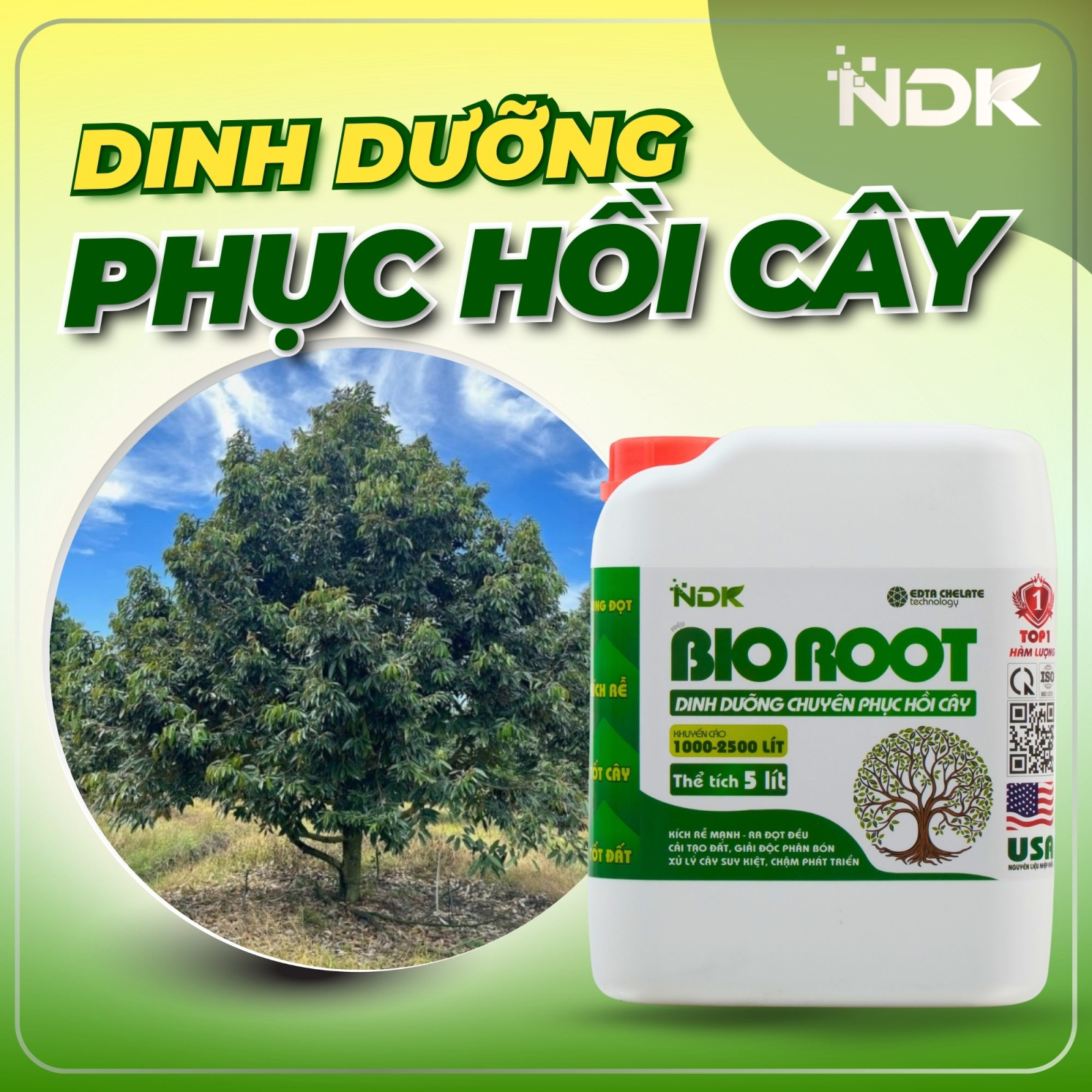 BIO ROOT | CAN 5L